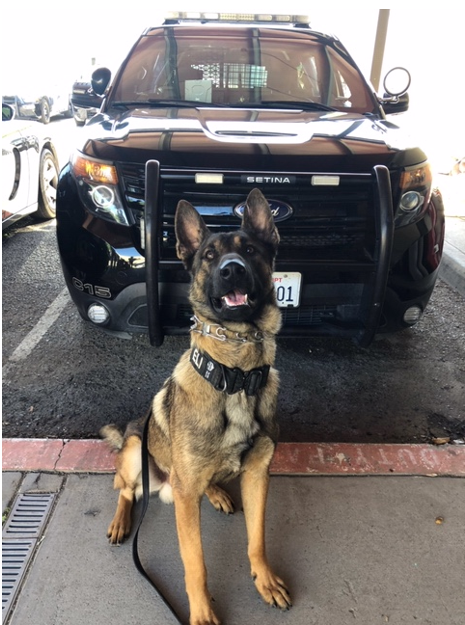 Coalinga Police Department’s Newest Addition – Coalinga Press
